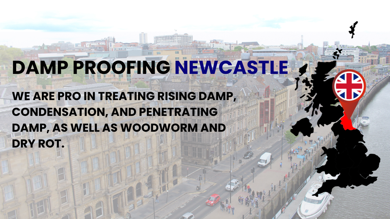 Professional Damp Proofing Services in Newcastle